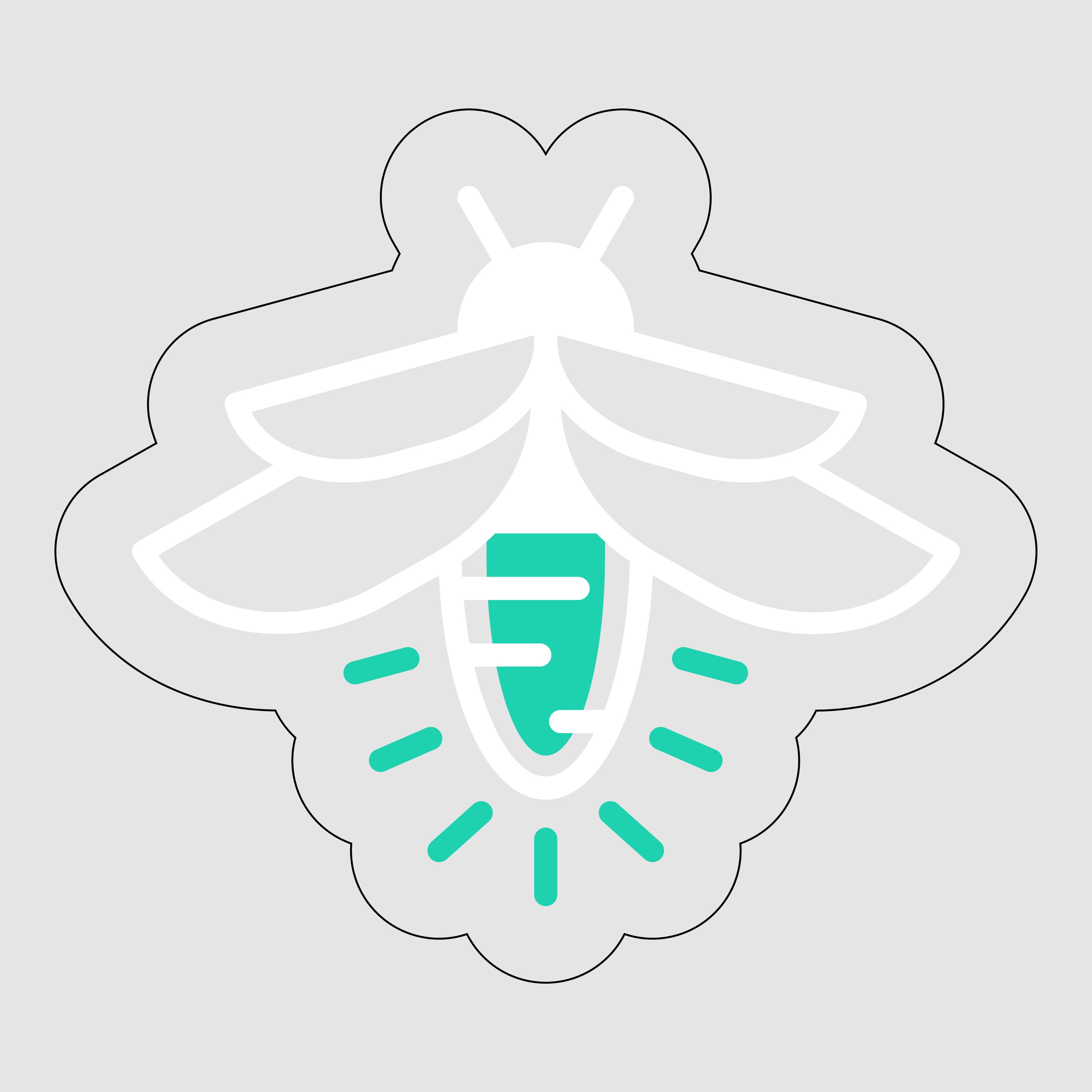 Lumi Car Decal – Atlas School